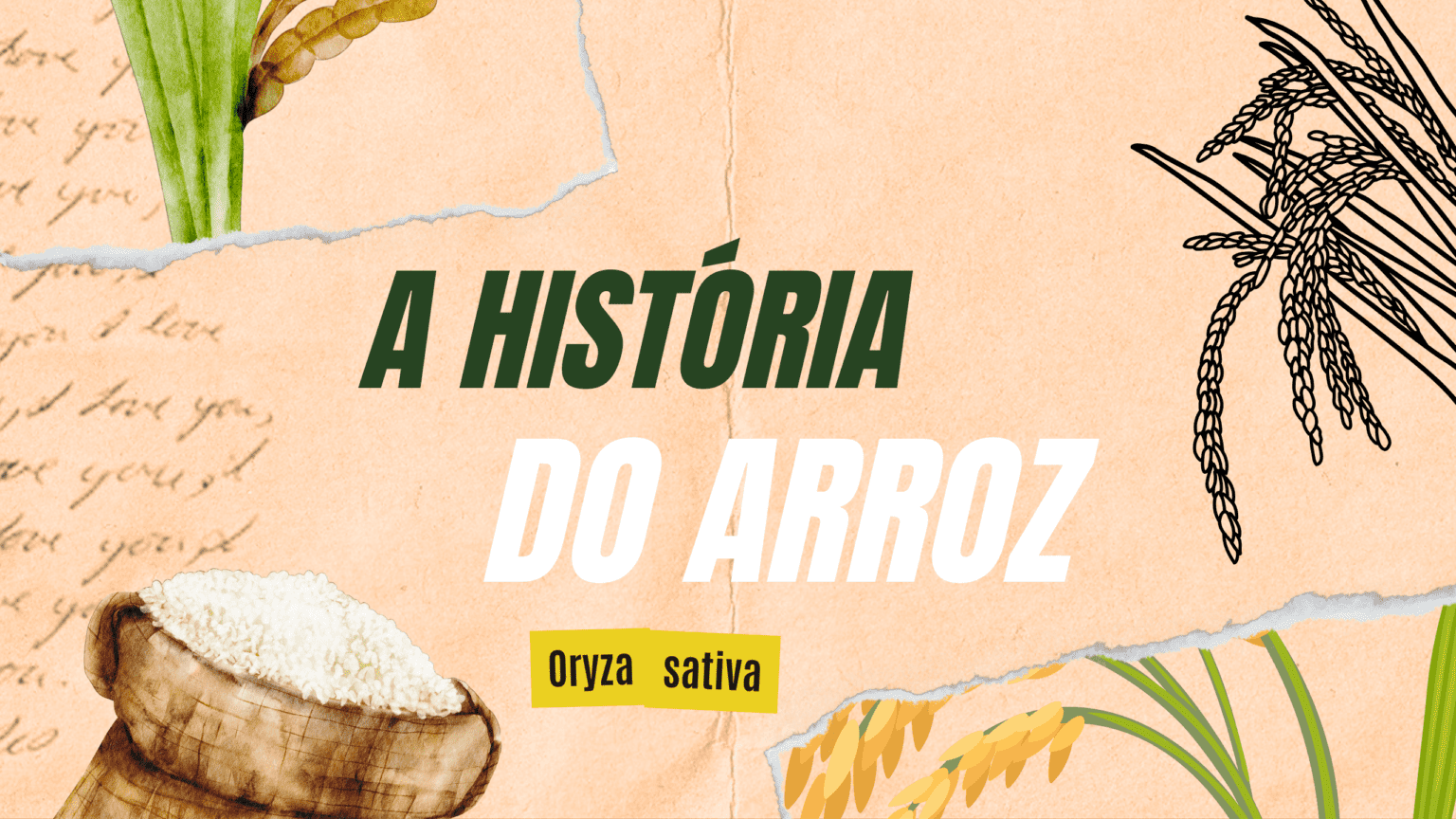 Arroz: O Grão que Moldou a História - A História das Plantas