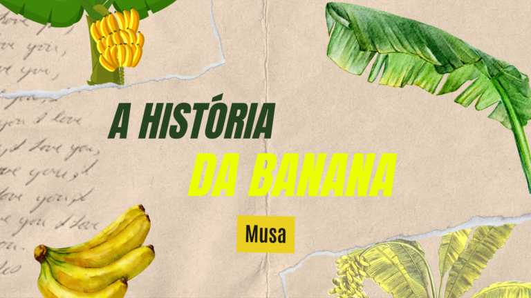 Banana: O Fruto que Uniu Culturas - A História das Plantas