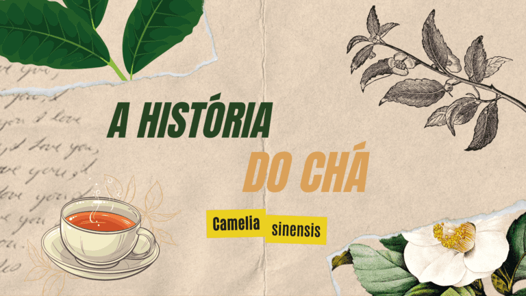 Chá: A Bebida Ancestral que Conectou Culturas ao Redor do Mundo - A ...