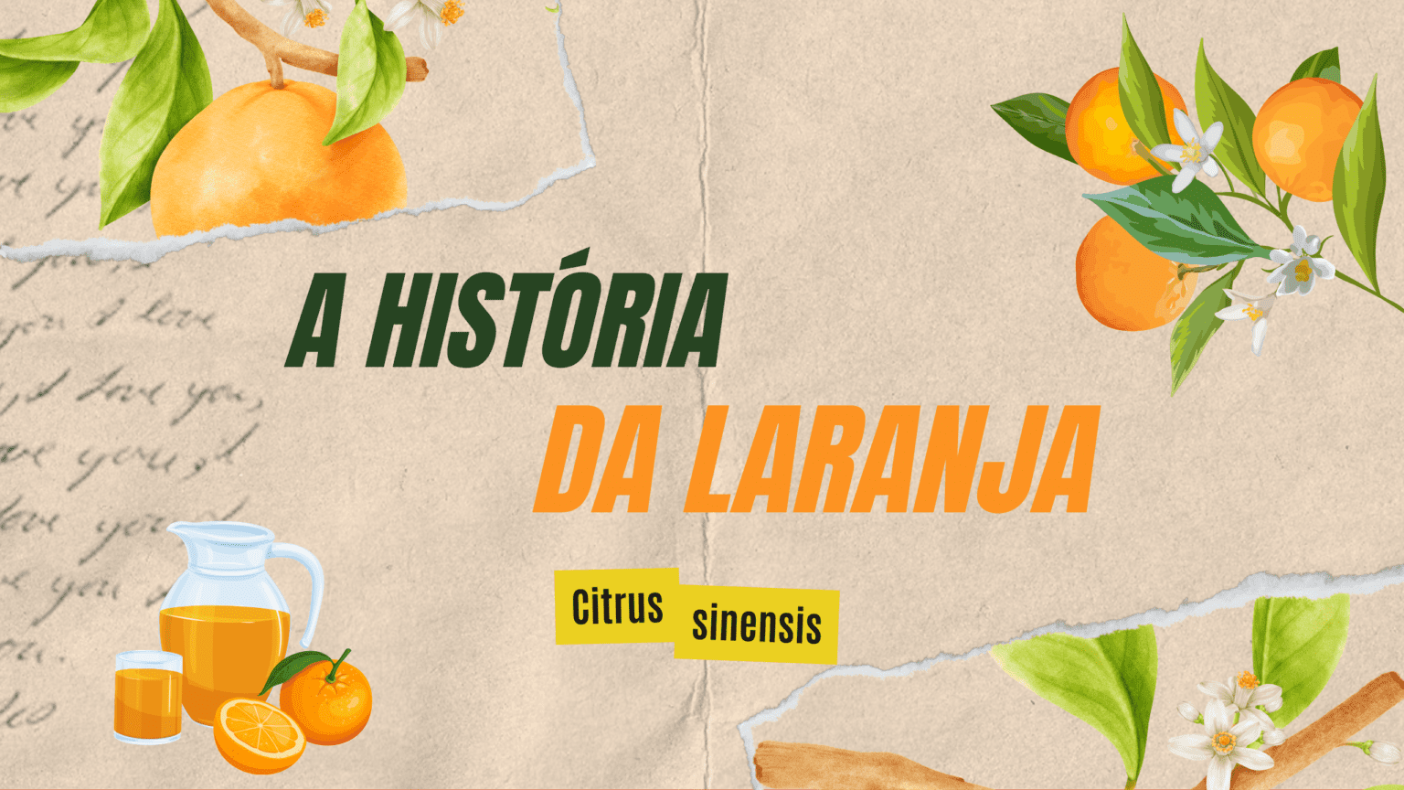 Laranja: O Fruto Que Revitalizou Culturas e Aromatizou o Mundo - A ...