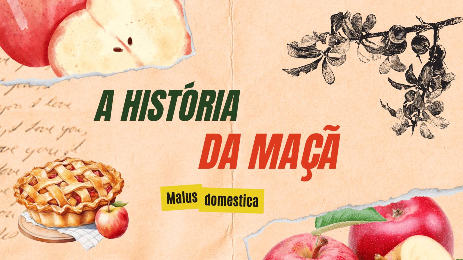 Maçã: O Fruto Proibido que Transformou Histórias e Sabores - A História ...