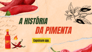 Pimenta: O Pequeno Fruto de Fogo - A História das Plantas