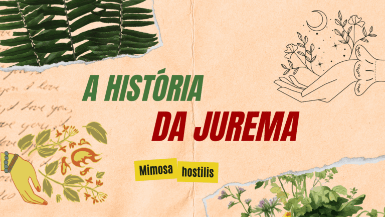 Jurema: A Árvore Sagrada da Visão Ancestral - A História das Plantas